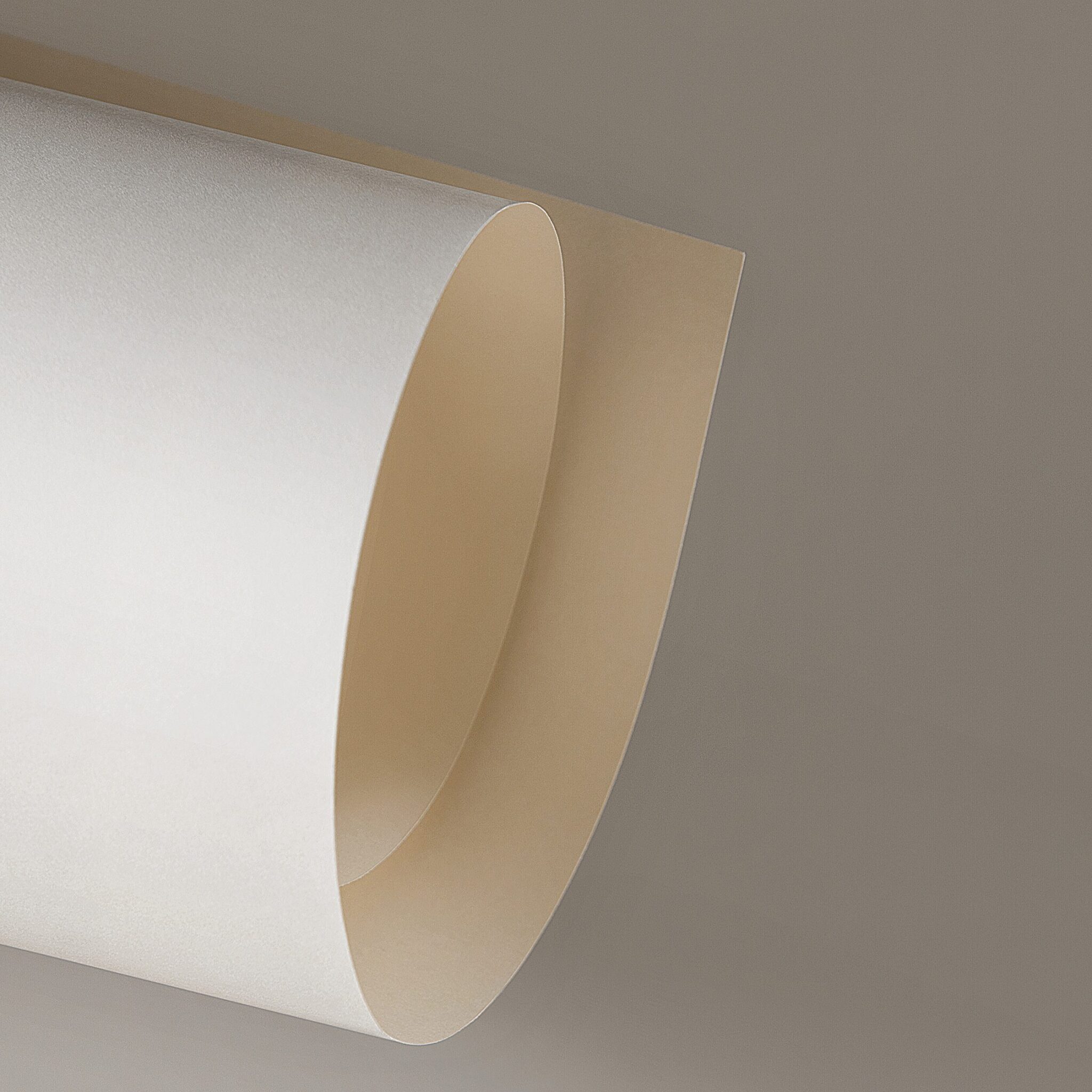 Maxipel Distribuidora de Papel
